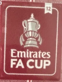 12 x Fly Emirates Fa Cup patch player size Iron On Manchester united b ...