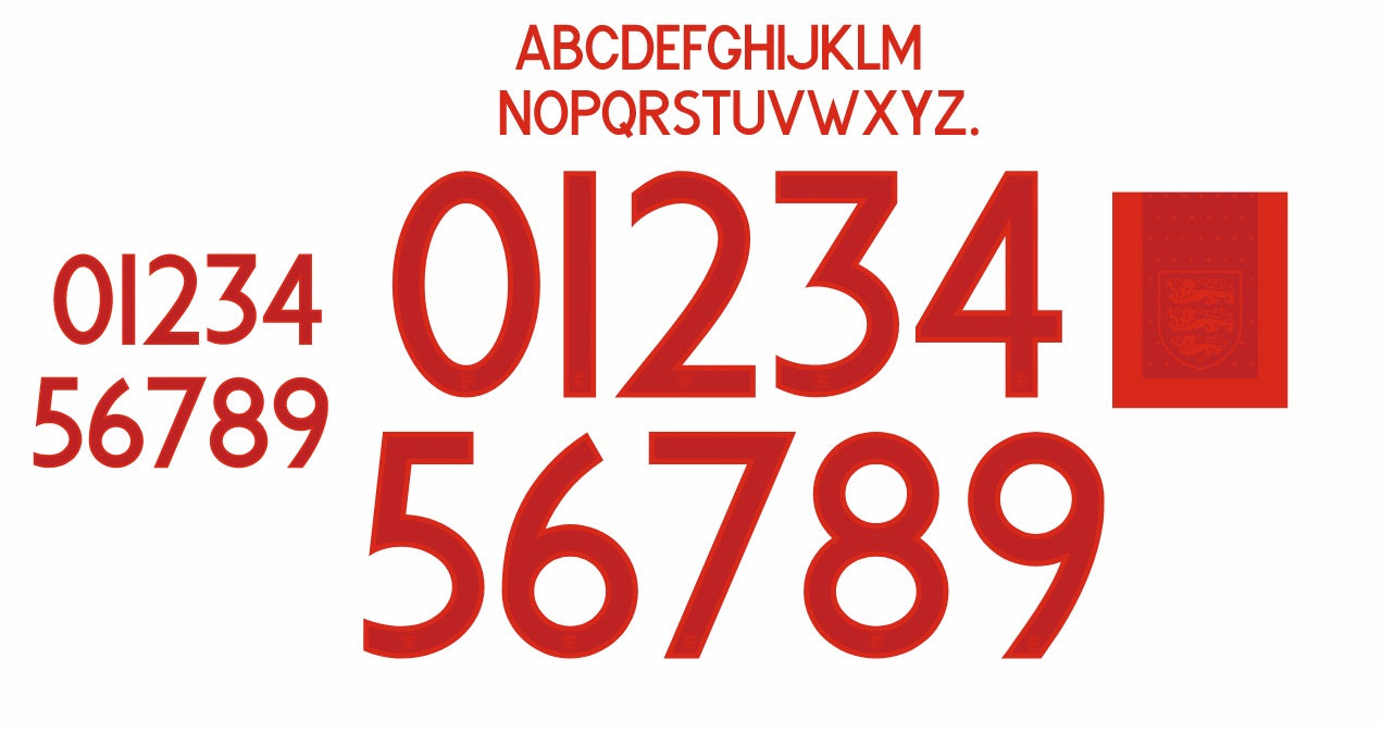 England 2010 Home Nameset for Football Shirt Any Name & Number – House ...